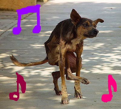 Dyr kan man altid grine lidt af | steampunk.dk